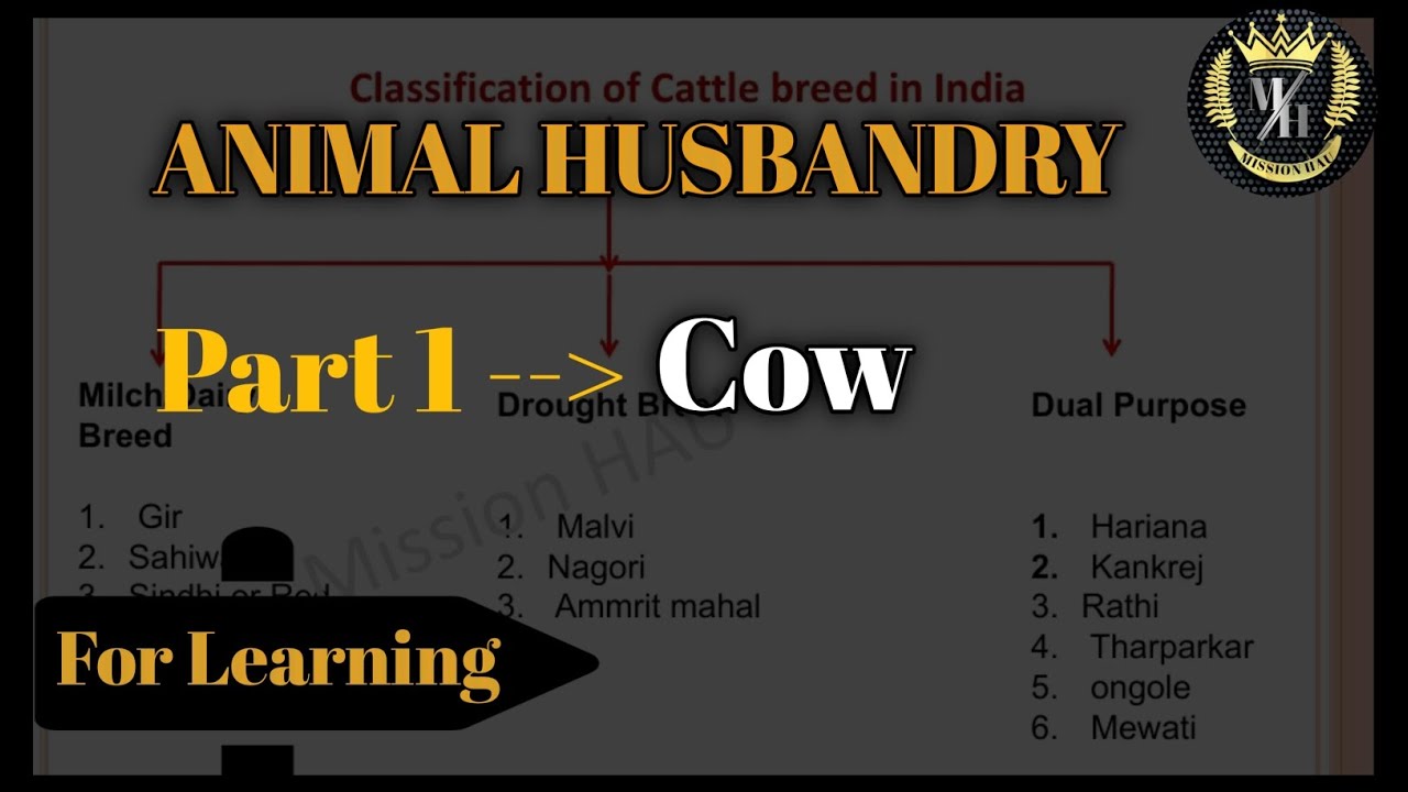 Part:-1|| Animal husbandry:- Cow || Bsc agriculture 6 year program ...