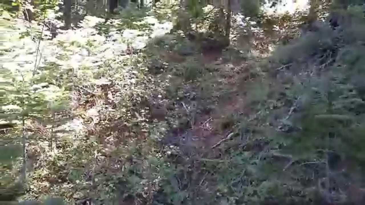 Visiting The Remains Of Another Mine In The Rose Quartz Complex - YouTube