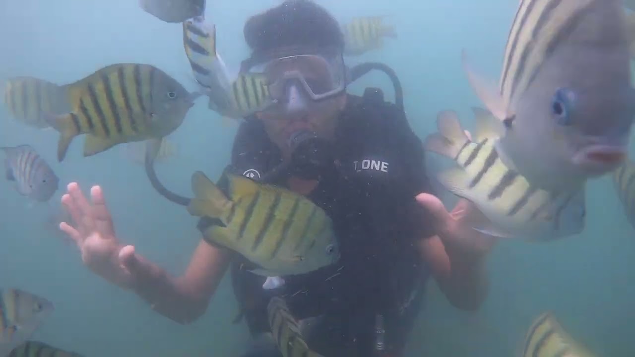 scuba diving - YouTube