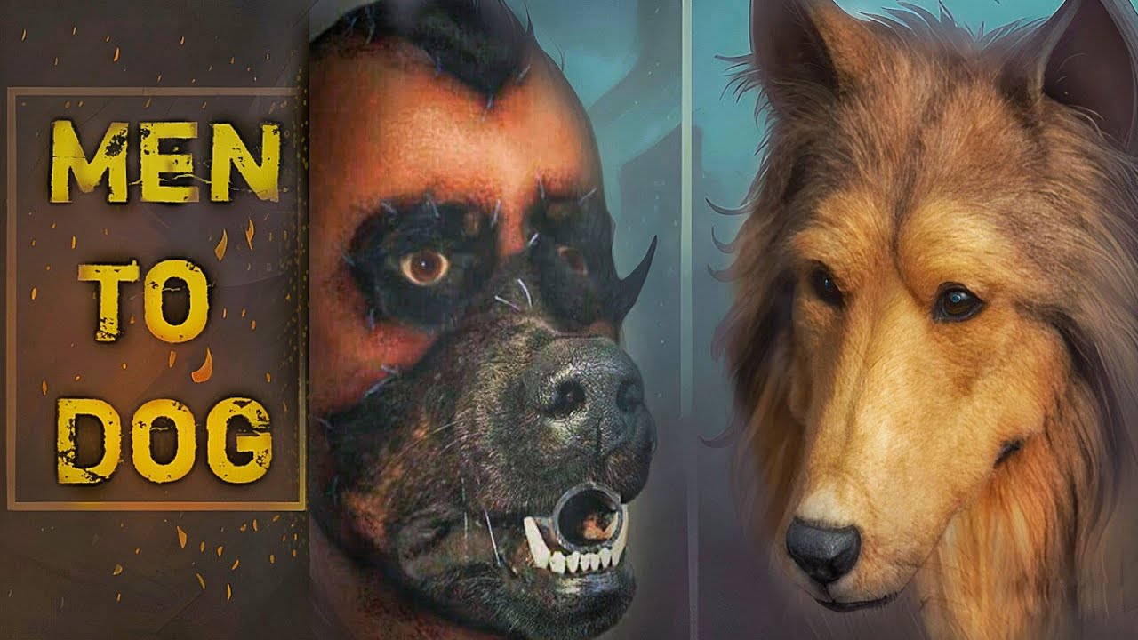 Unveiling the Intriguing History and Stories of Human-to-Dog ...