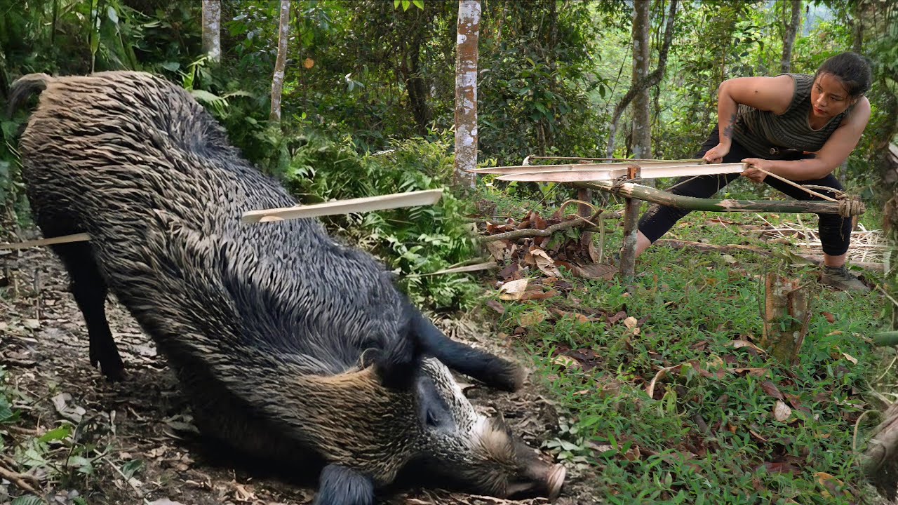 Ambush with bow and arrow and trap wild boar, wild chicken to roast and ...