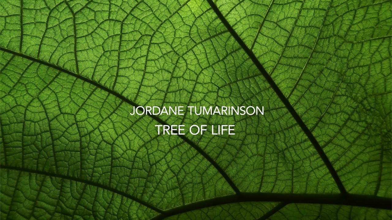 Jordane Tumarinson - Tree Of Life (Visualizer) Chords - Chordify