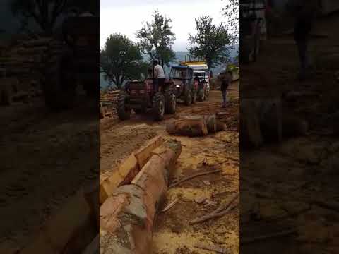 Ormanda traktörlerin odun konumuyla Zorlu mücadelesi New Holland  Erkunt. Fiat