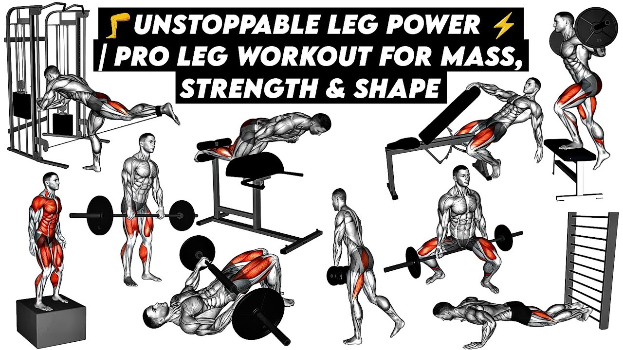 UNSTOPPABLE LEG POWER ⚡ | PRO LEG WORKOUT FOR MASS, STRENGTH & SHAPE ...