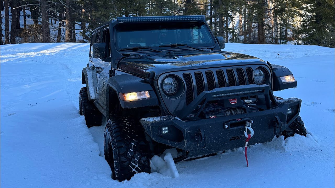 Evening drive in the Jeep - still having fun even on Gerson Therapy ...