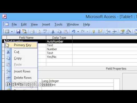 6. Ms Access 2003 Tutorials in Urdu - Making Database Tables Urdu Tutorials - YouTube
