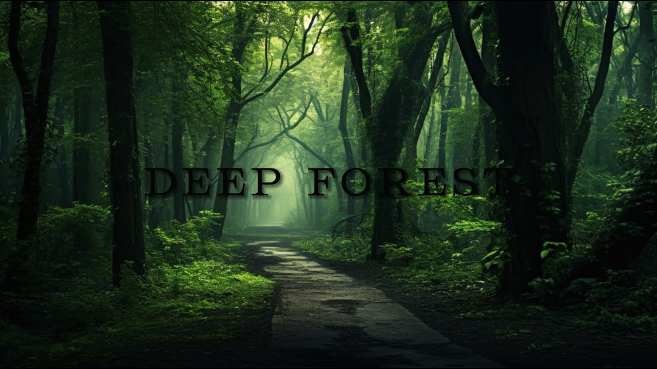 DEEP FOREST | Healing Music, Ambient Music, Meditation Music - YouTube