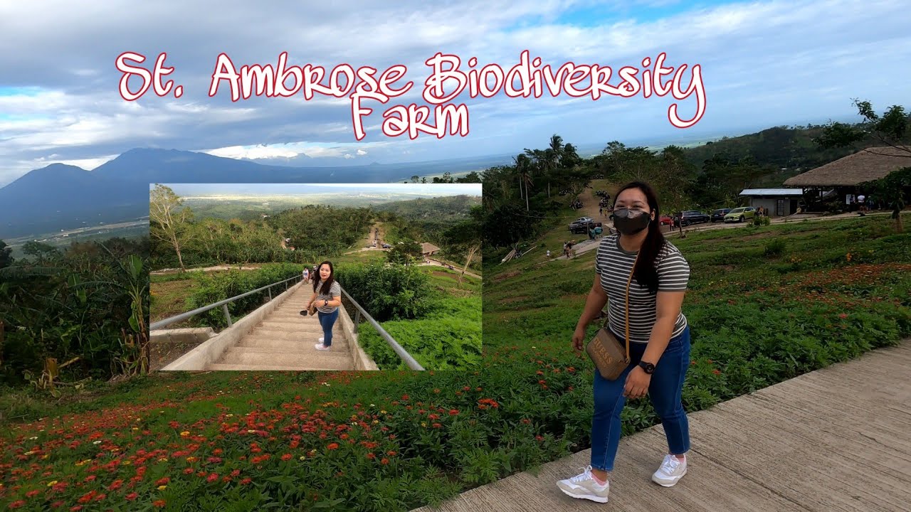 St. Ambrose Biodiversity Farm San Pablo Laguna - YouTube