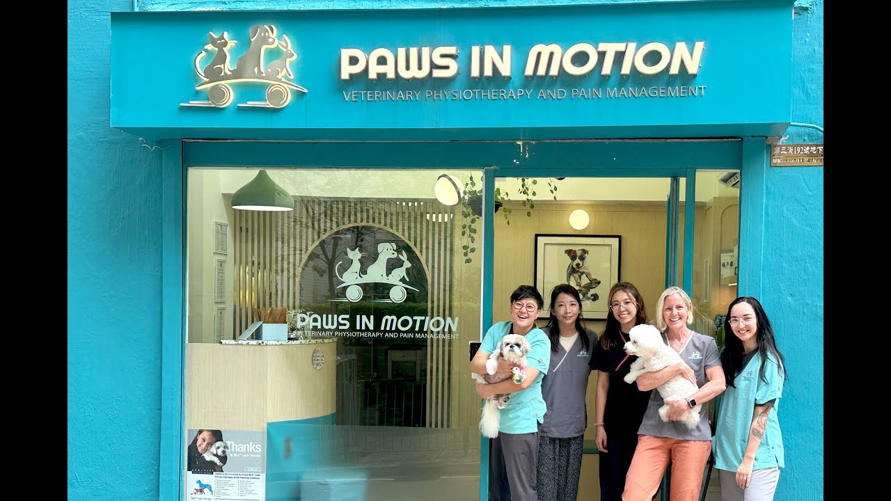 Paws In Motion: Veterinary Physiotherapy and Pain Management Clinic ...