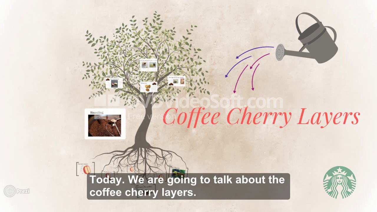 Coffee Cherry Layers - YouTube