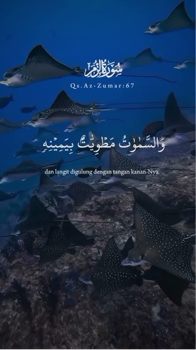 pashton official chennal New trending telawat Quran YouTube channel ...