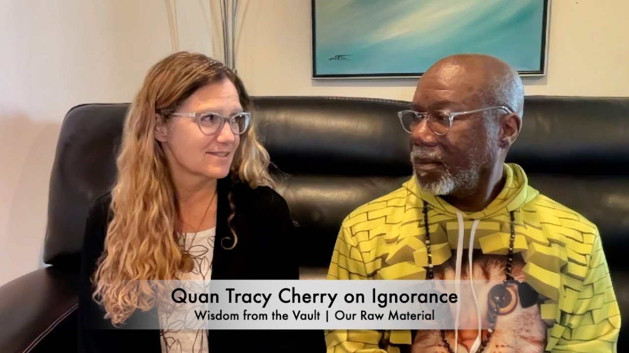 Quan Tracy Cherry on Ignorance | Wisdom From The Vault | Our Raw ...