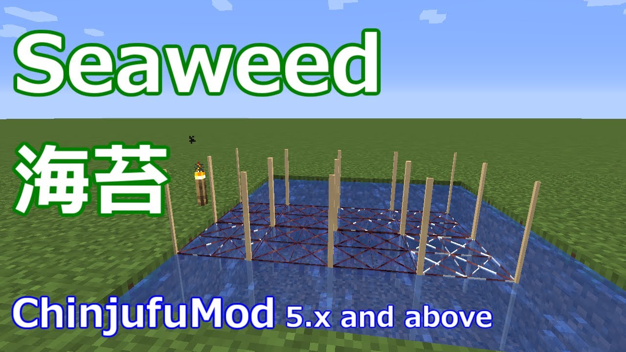 #18 Seaweed 海苔 (Minecraft ChinjufuMod) - YouTube