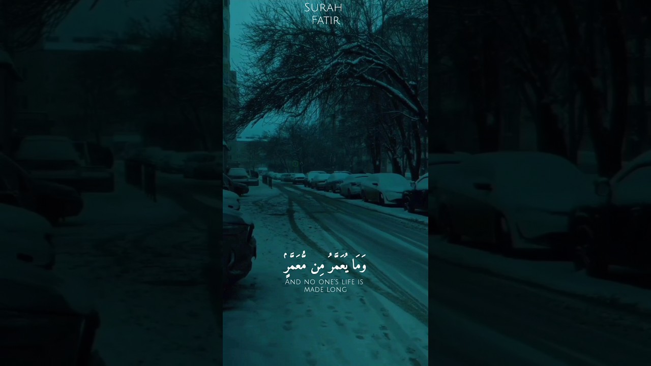 القارئ طارق محمد والله خلقكم من تراب ثم من نطفة ثم جعلكم أزواجا