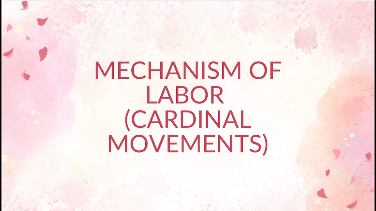 Mechanism of Labor: Cardinal Movements of Labor - YouTube