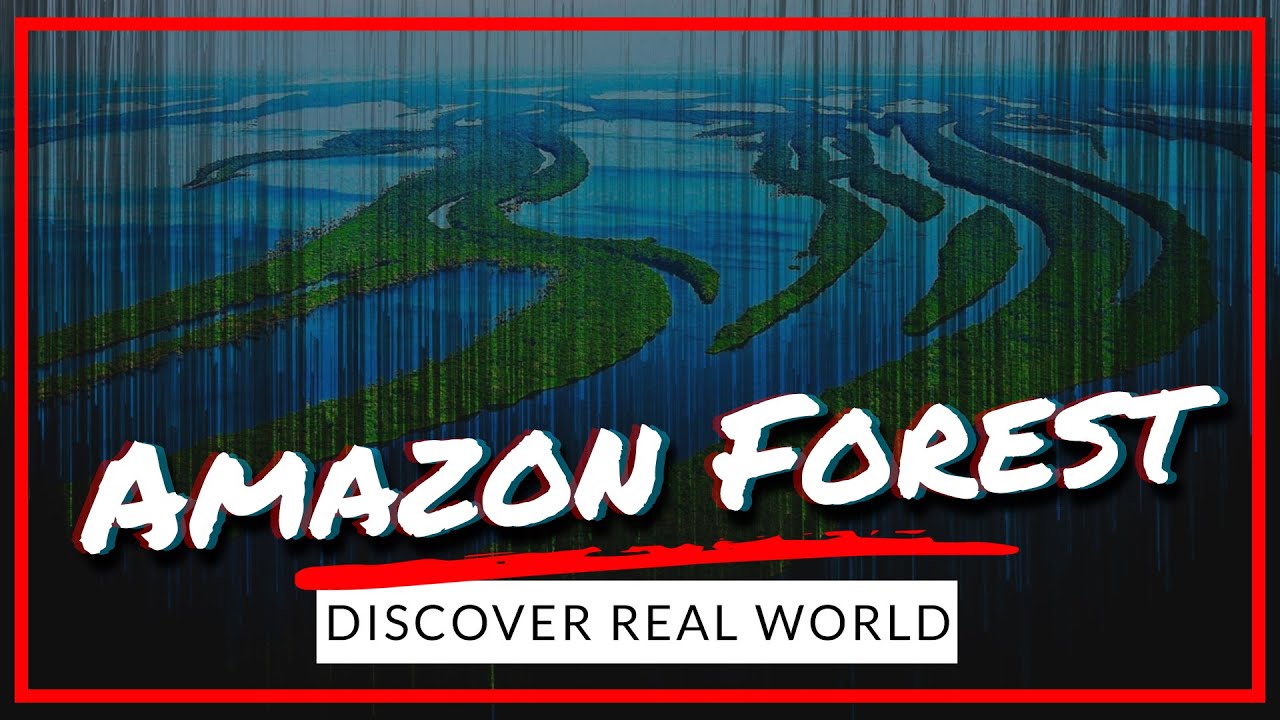 Mystery of Amazon Rain-forest | Discover Real World - YouTube