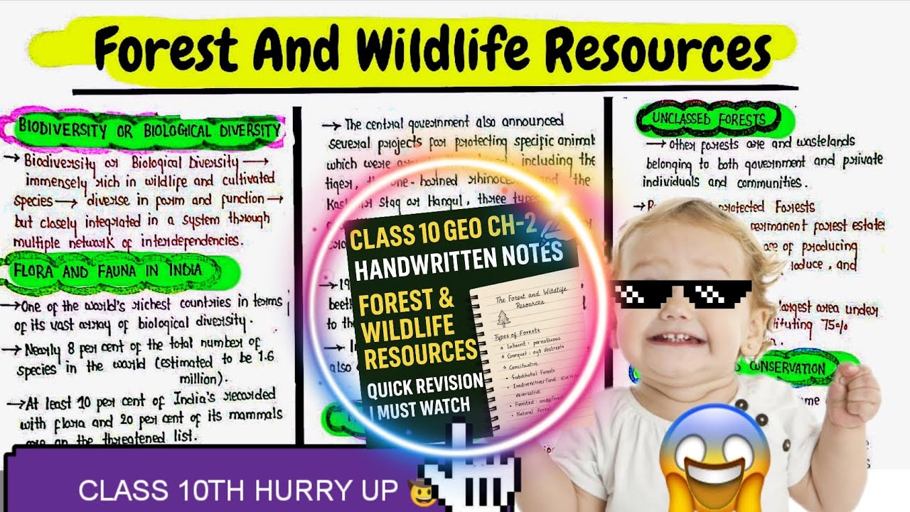 Class 10th Geography chapter 2 ( Notes ) | The Forest And Wildlife ...