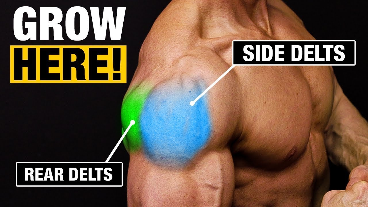 How to grow broad shoulders (Intermediate shoulder workout) - YouTube