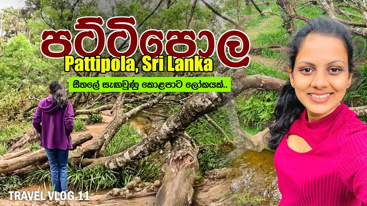 සීතලේ සැඟවුණු කොළපාට ලෝකයක්.. 🍃💚 | පට්ටිපොල | Pattipola | NuwaraEliya ...