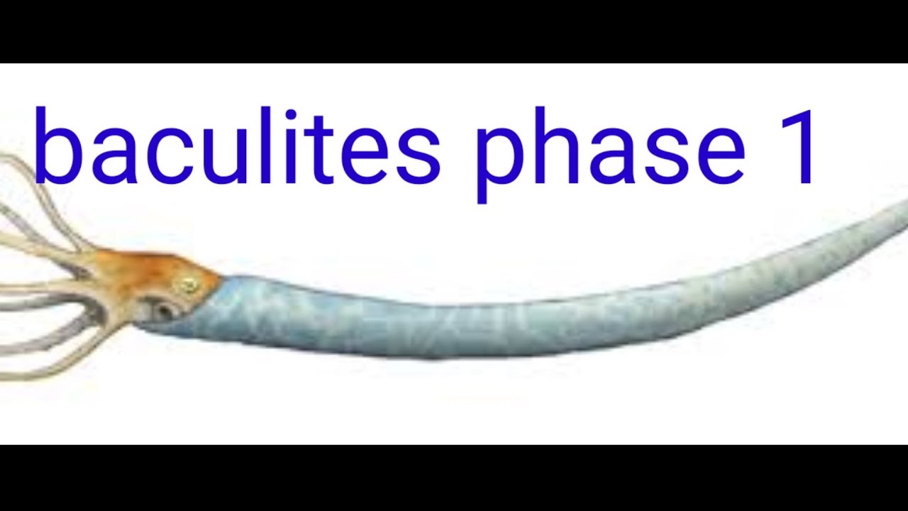 baculites phase 1 mod for melon playground - YouTube