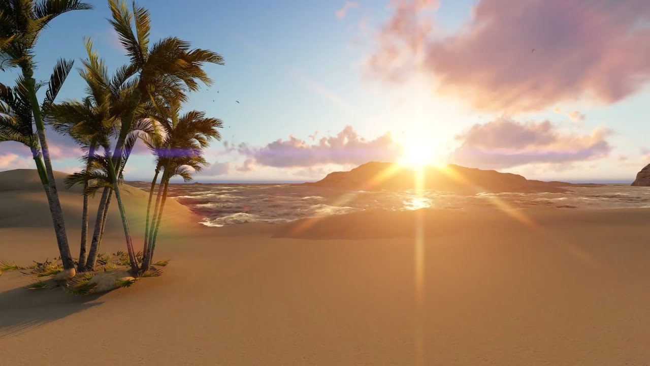 Relaxing Beach Waves And Seagull Sounds - YouTube