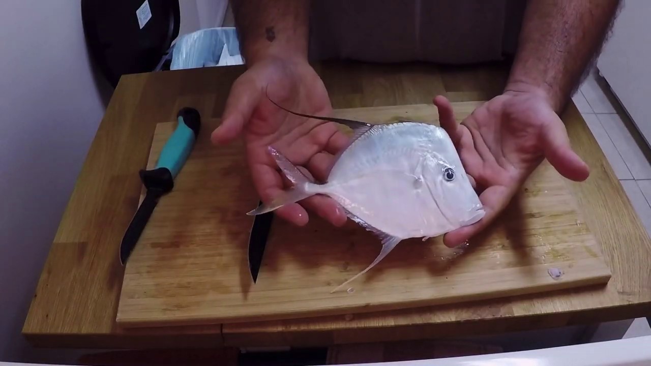 How To Cook A Look Down / Moon Fish | My First Attempt - YouTube