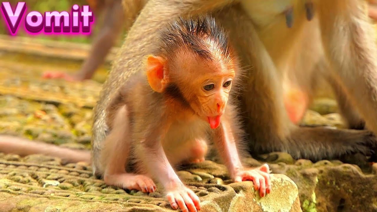 So Pitiful Baby! Poor Baby Really Maybe Got Vomiting A Lot - YouTube
