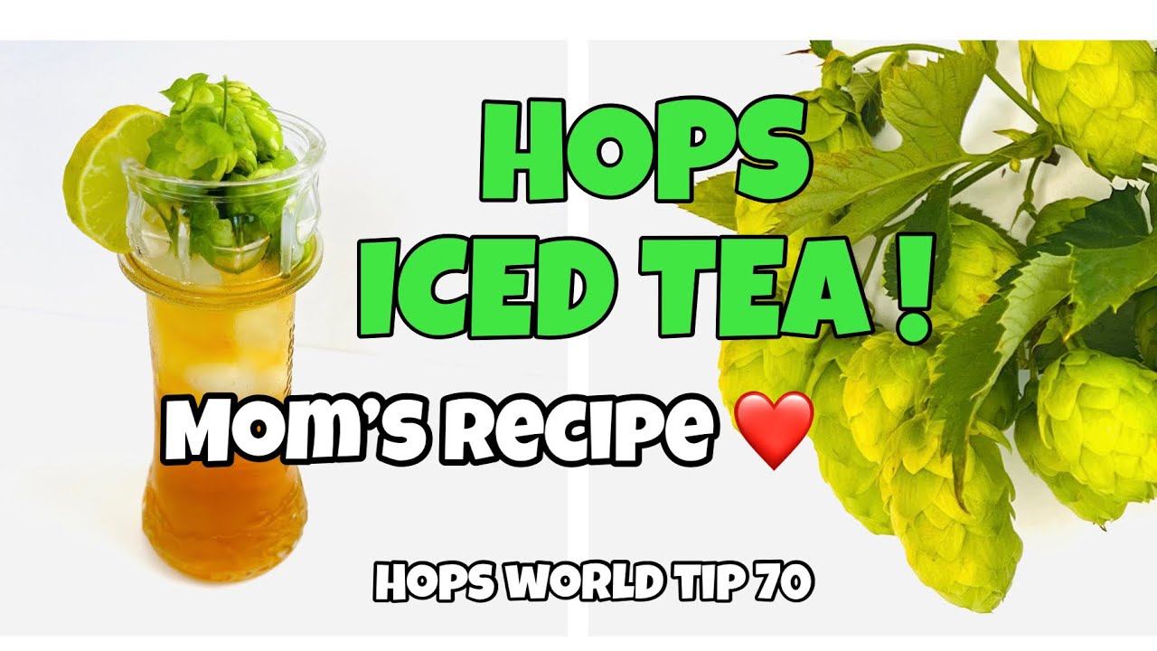 HOPS ICED TEA - MOM’S RECIPE ! HOPS WORLD TIP 70 - YouTube