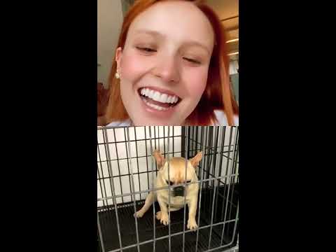 𝗟𝗮𝗿𝗶𝘀𝘀𝗮 𝗠𝗮𝗻𝗼𝗲𝗹𝗮. 𝗟𝗶𝘃𝗲 𝗱𝗼𝘀 𝗣𝗲𝘁𝘀 𝗻𝗼 𝗕𝗮𝗻𝗵𝗼 🐶 ❤️ (𝗜𝗡𝗦𝗖𝗥𝗘𝗩𝗘𝗥-𝗦𝗘 𝗡𝗢 𝗖𝗔𝗡𝗔𝗟)