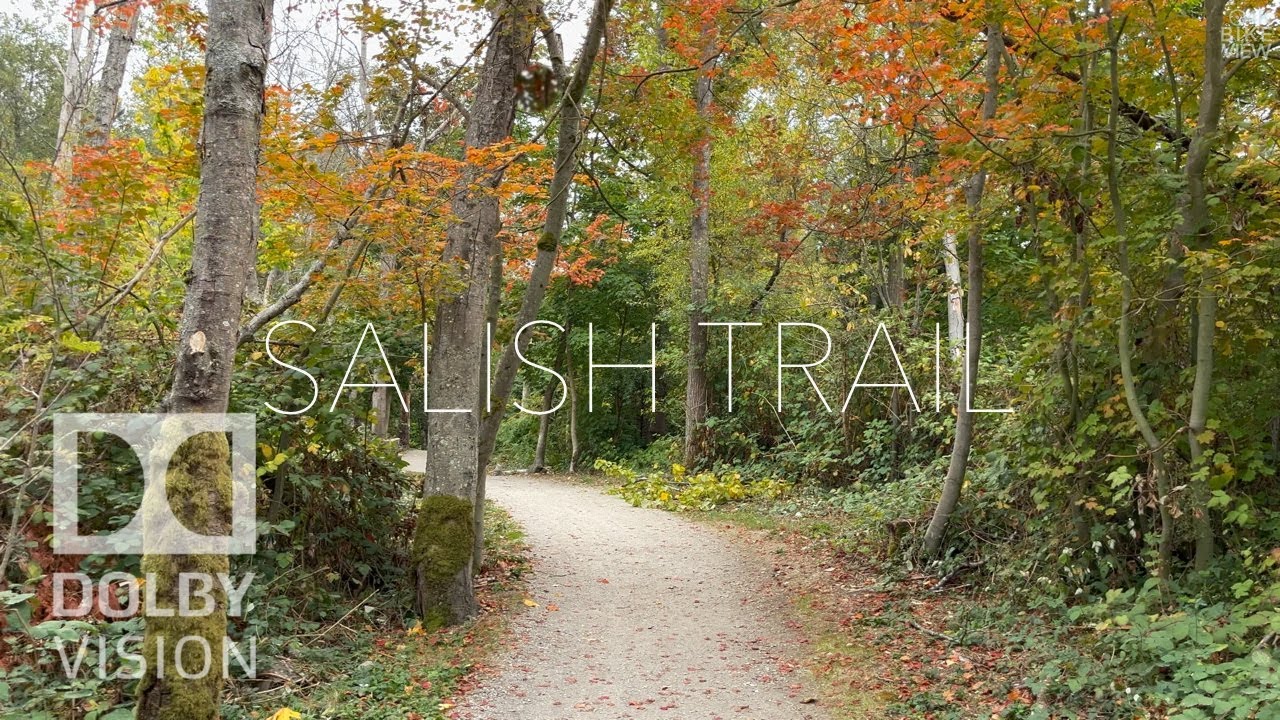 Fall Foliage Pacific Sprit Regional Park - Salish Trail, Vancouver, BC ...