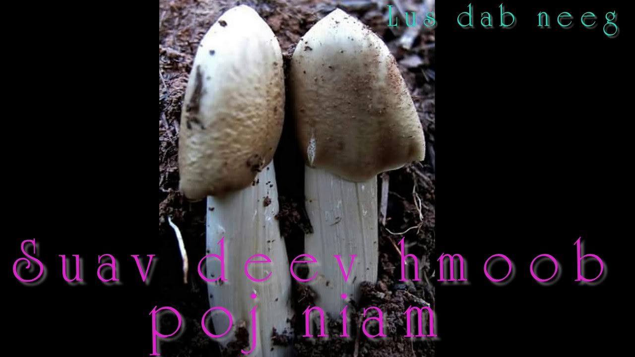 Dab neeg - Suav deev hmoob poj niam - YouTube