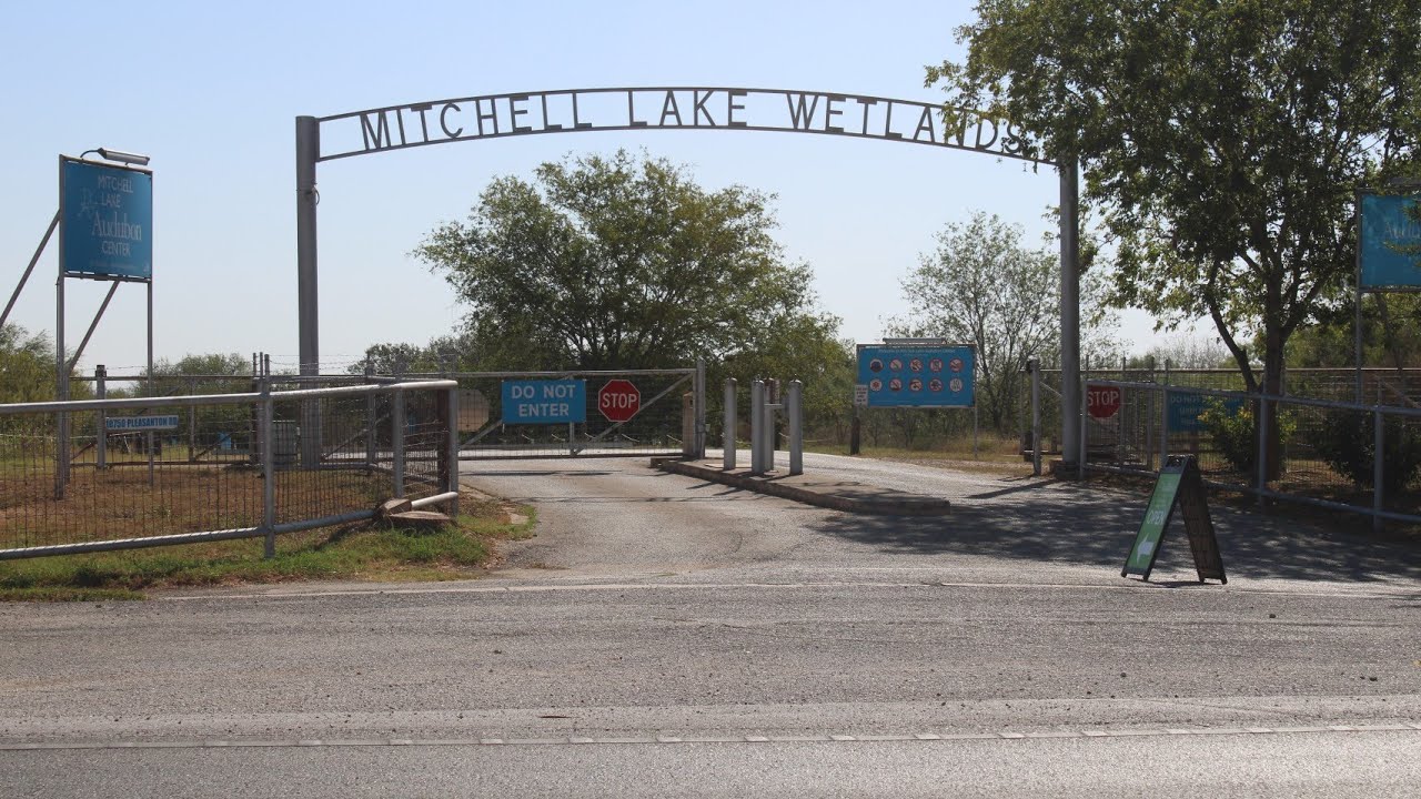 Mitchell Lake Wetlands - YouTube
