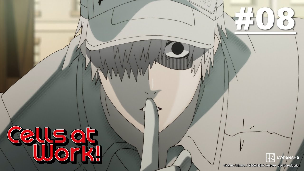 Cells at Work! - Episode 08 (S1E08) [English Sub] - YouTube