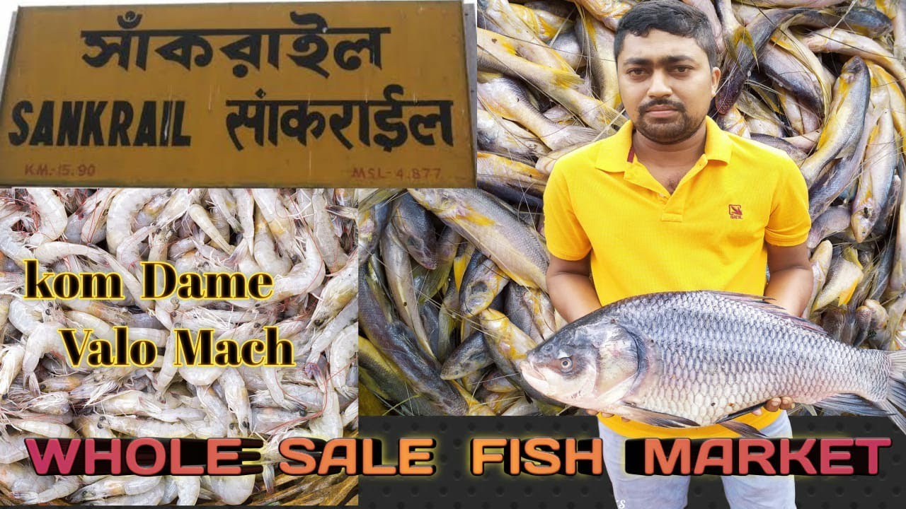 🐟Fish market in howrah🐠, sankrail, west bengal(india) Whole sale market ...