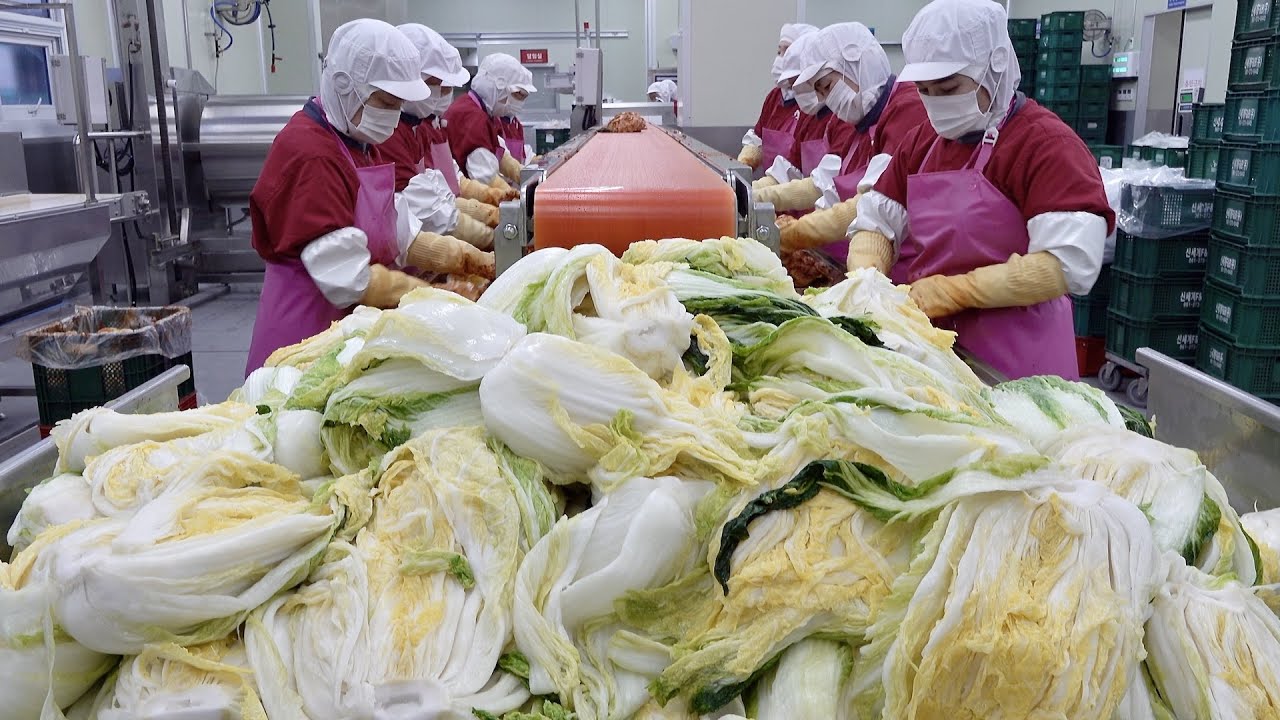 Interesting Korean Kimchi Mass Production Factory. 30 Tons of Kimchi ...