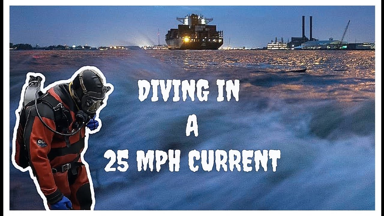 Experience The Underwater World of The Mighty Mississippi River - YouTube