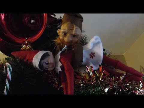 Elf on the Shelf: Grandpa Elf Kidnaps Angelcakes!!! - YouTube