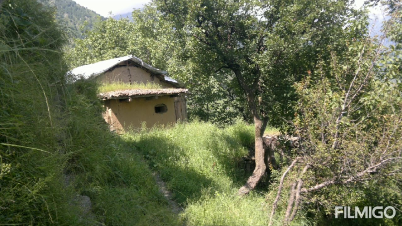 Batagram Allai - YouTube