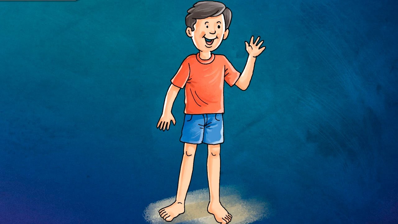 Our Body - EVS | Animated chapter | Animation - YouTube