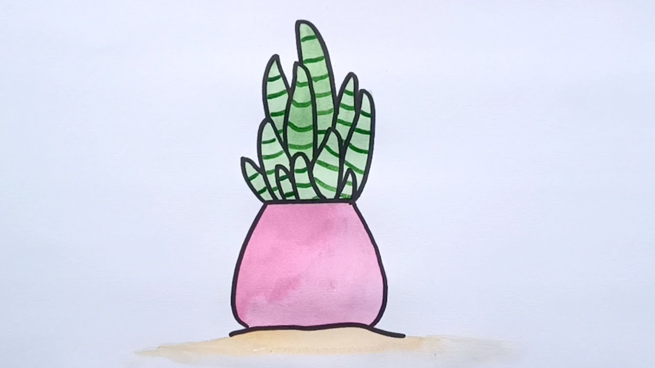How to draw Snake Plant | Easy Cartoon drawing and Colouring - YouTube