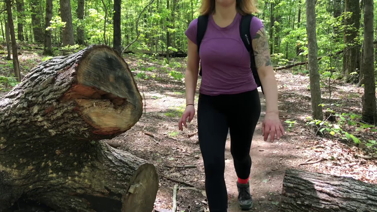 The Rivanna Trail - Charlottesville’s 20-mile Trek Hidden in Plain ...