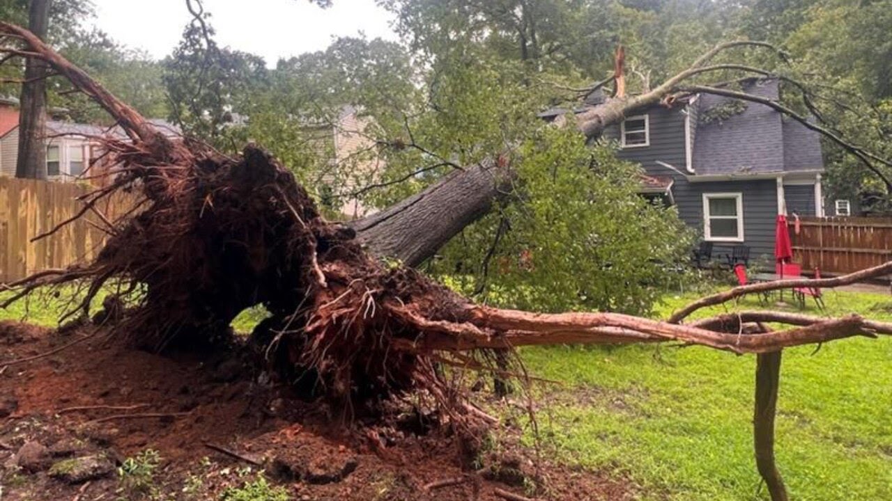 Tree injures woman after falling in house in northwest Atlanta - YouTube