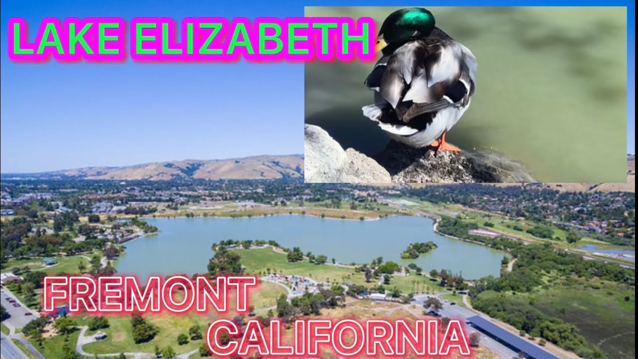 Visiting From Lake Elizabeth / Fremont California 2022 - YouTube