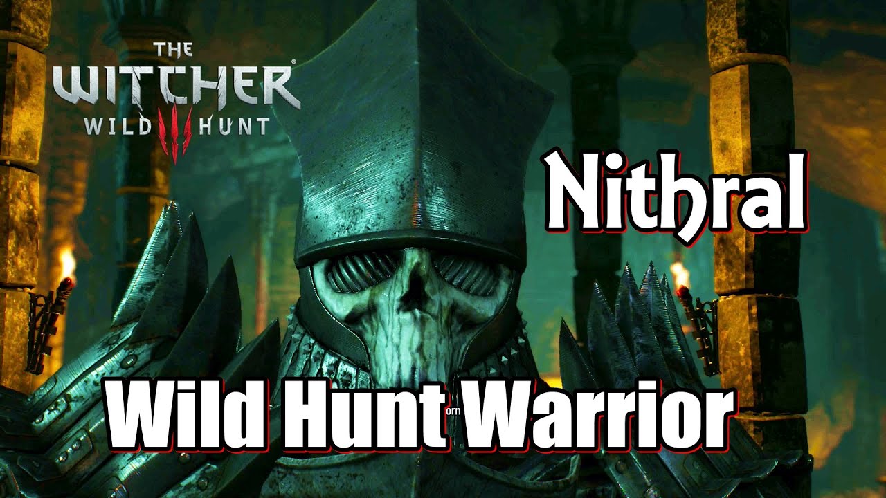 The Witcher 3 Wild Hunt Fight the Wild Hunt warrior ( Nithral ) - YouTube