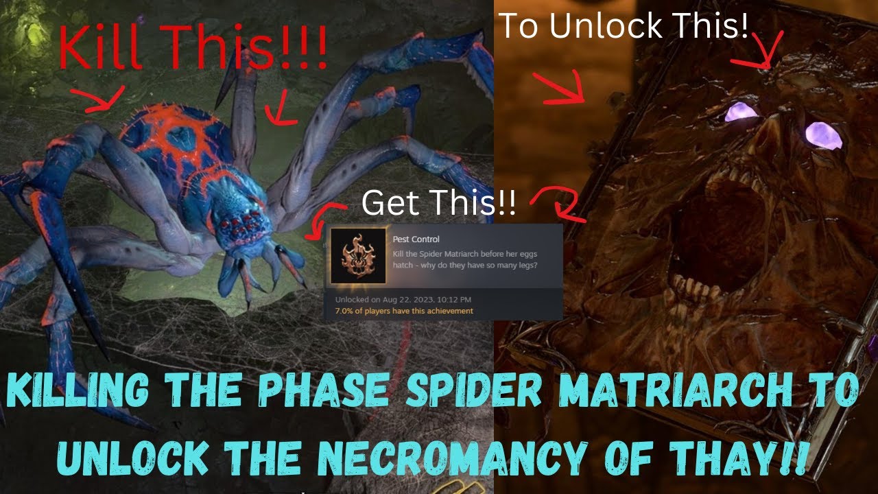 Killing Phase Spider Matriarch Pest control Achievement and Necromancy ...