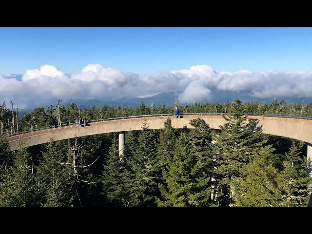 Clingmans Dome Smoky Mountains Highest Peak In The Smokies Park