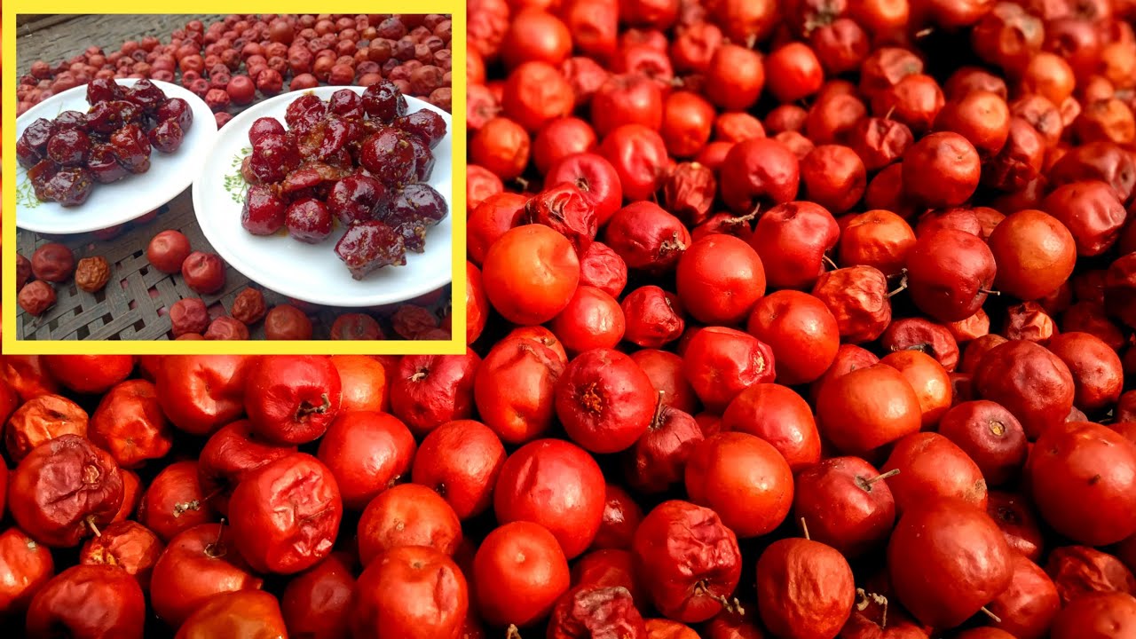 How to Prepared Indian Jujube Fruit Recipe in Village|| Traditional ...