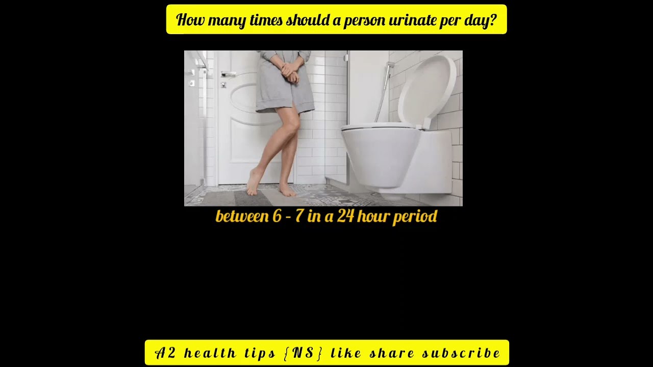 How Many Times Should A Person Urinate Per Day YouTube How Many Times Should A Person Urinate Per Day YouTube
