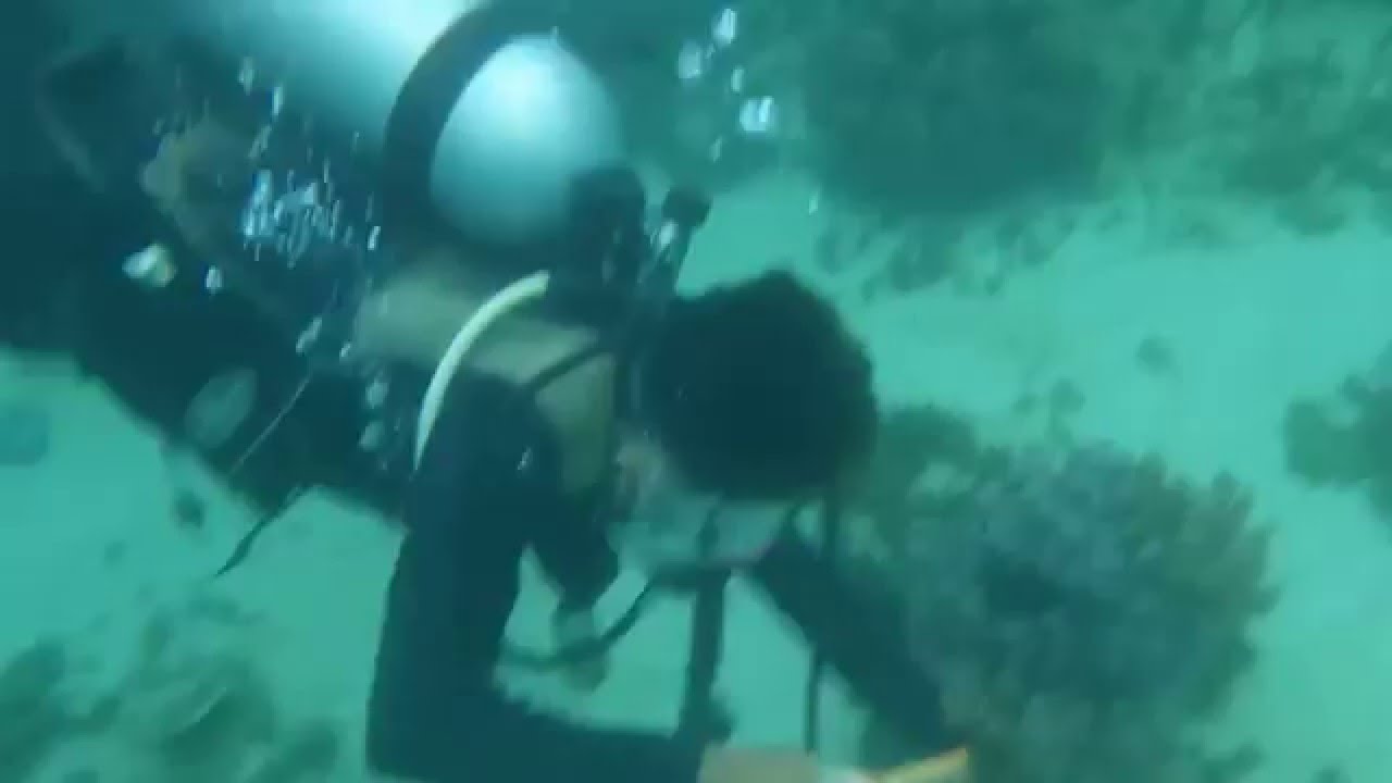 Coral Planting at Aron Magic Island 012416 - YouTube