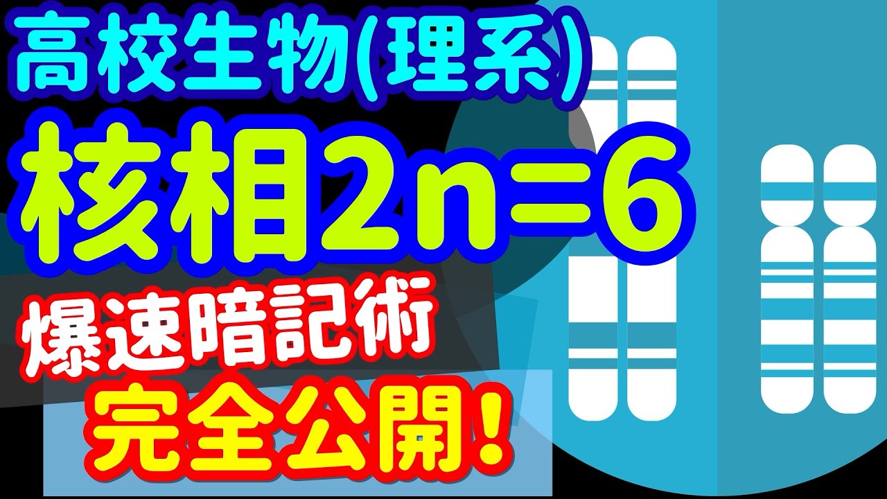 28 2n 6 YouTube 28 2n 6 YouTube